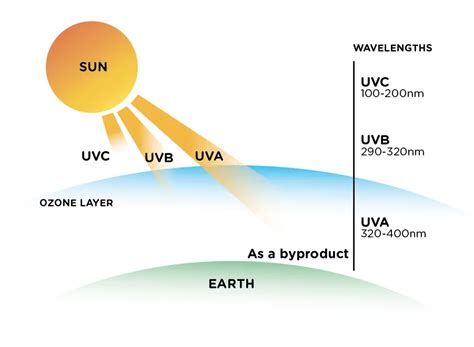 Illuminating The World Of Uv Light Wavelengths From Science To Application