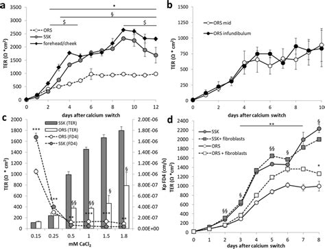barrier function of cultured hf keratinocytes a representative time