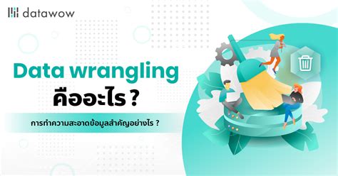 Data Wrangling คืออะไร การทำความสะอาดข้อมูลสำคัญอย่างไร Data Wow