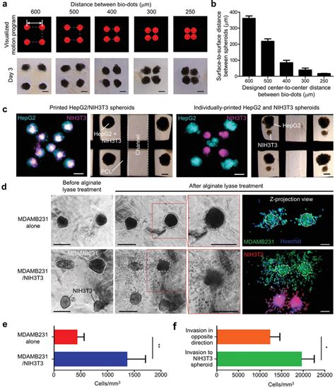 Versatile Patterning With Cell Spheroids And 3d Spheroid Invasion Assay Download Scientific