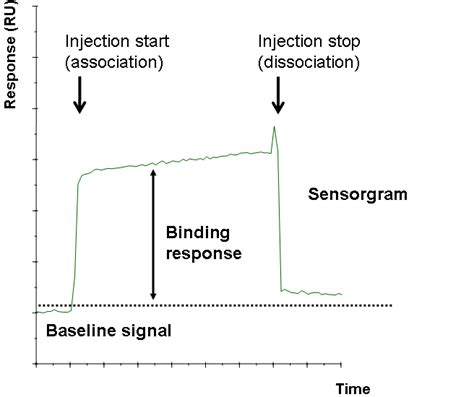 A Sample Spr Sensorgram Sensorgrams Plot Binding Response Expressed Download Scientific