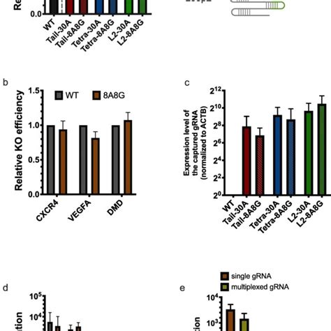 Pdf Direct Seq Programmed Grna Scaffold For Streamlined Scrna Seq In Crispr Screen