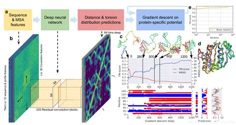Alphafold Improved Protein Structure Prediction Using Potentials From