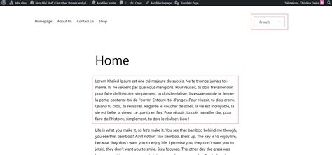 How To Translate WordPress Websites In Beginner S Guide