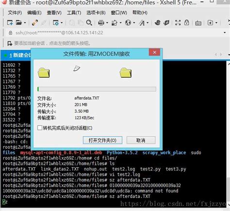 阿里云服务器使用xshell上传下载文件 阿里云服务器 在 xshell如何上传wendasns软件包 csdn博客