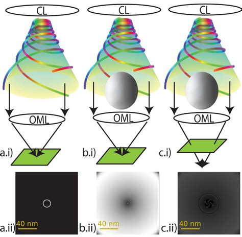 A Schematic Of Fresnel Contrast Obtained From Electron Vortex