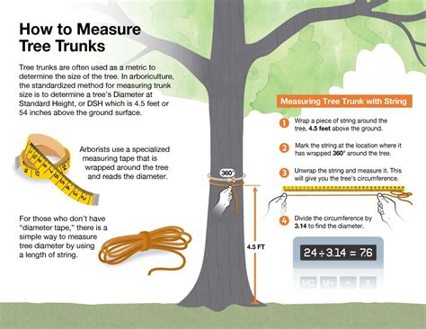 Resources San Mateo County Trees