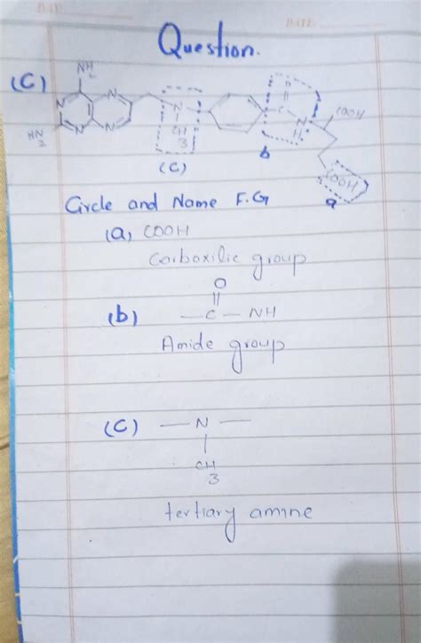 [solved] C Circle And Write The Name The Three Different Functional Groups Course Hero