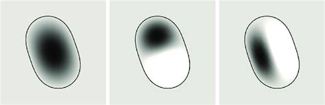 Optimal Shapes For An Example Of Mixed Minimization And Maximization Download Scientific