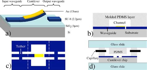 Figure 1 From A Cantilever Sensor With An Integrated Optical Readout For Detection Of