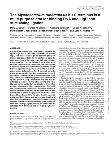 Pdf The Mycobacterium Tuberculosis Ku C Terminus Is A Multi Purpose