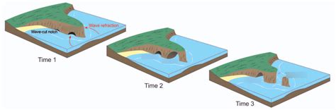 8 10 Sea Cave Sea Arch Sea Stack Diagram Quizlet