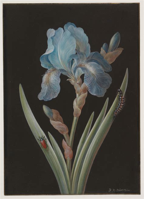 Barbara Regina Dietzsch — Aware