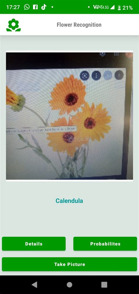 Github Ymyurdakulflower Recognition App