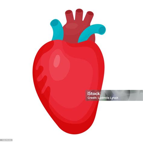 심장 인간 심장학 기관 의료 테마의 디자인과 장식을 위한 평면 만화 스타일의 벡터 그림 건강관리와 의술에 대한 스톡 벡터 아트 및 기타 이미지 건강관리와 의술 건강한