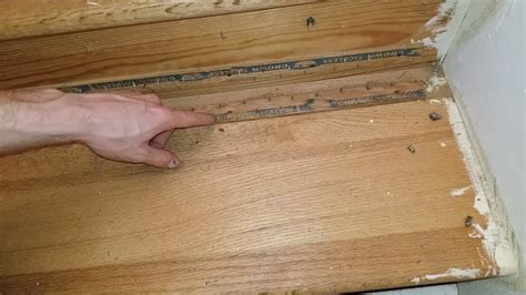 How To Remove Tack Strip From Wood Floor At Harold Hernandez Blog