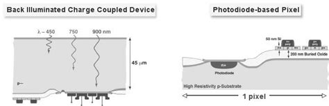 Schematic Illustration Of Left Back Illuminated Ccd Adjacent To Soi