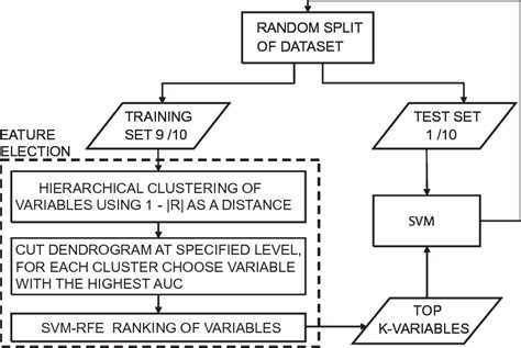 Overall Scheme Of Computational Analysis Download Scientific Diagram