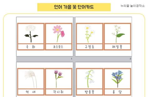 언어 가을 꽃 단어카드