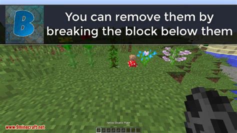 More Plants Command Block 1minecraft