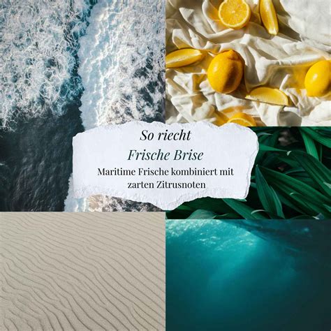 Frische Brise Sand And Fire