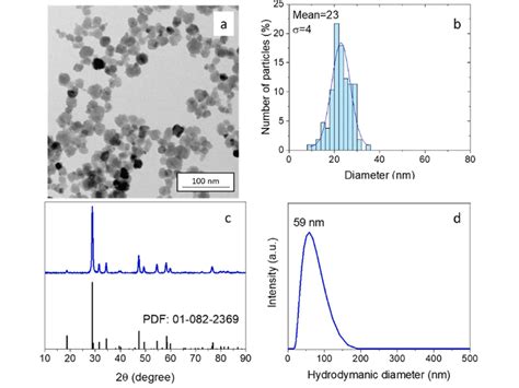 tem micrograph a size distribution histogram b x ray diffraction