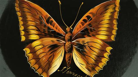 Показываю как нарисовать эффектную Бабочку масляными красками Художник