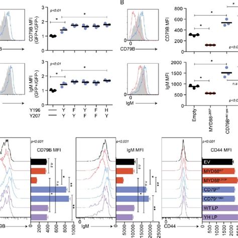 Cd79b Itam Mutations Do Not Drive B Cell Proliferation Or Nf κb Download Scientific Diagram