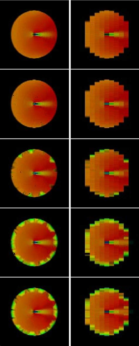 In The Right Column We Show One Pixel Full Resolution Images For Mesh Download Scientific