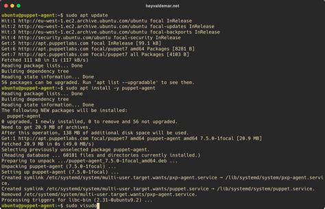 Install Puppet On Ubuntu Server Devops Compass Guided It Solutions By