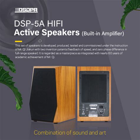 Promotion DSPPA HIFI Speakers At A Customer Friendly Price Guangzhou DSPPA Audio Co Ltd