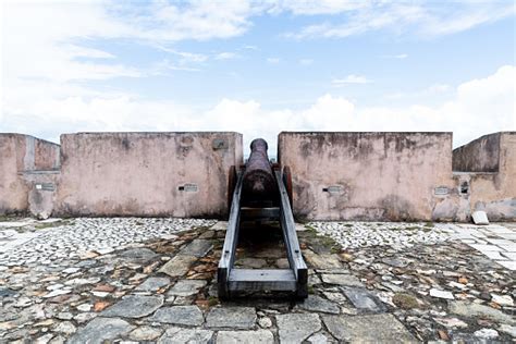 Pemandangan Dalam Meriam Benteng Morro De Sao Paulo Foto Stok Unduh