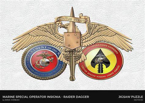 Marine Special Operator Insignia Raider Dagger Badge With Usmc And