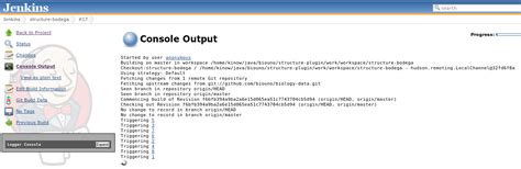 Running Structure In Parallel Using Jenkins Slaves Biouno