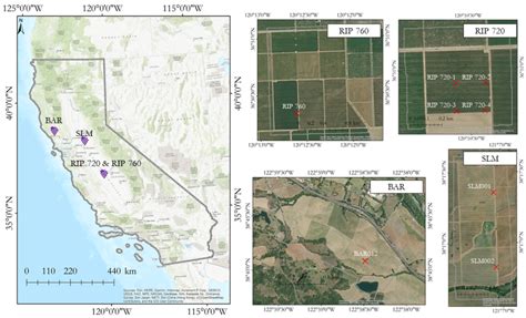 Flowchart Showing The Process Of Comparing Et Rate And Et Partitioning Download Scientific