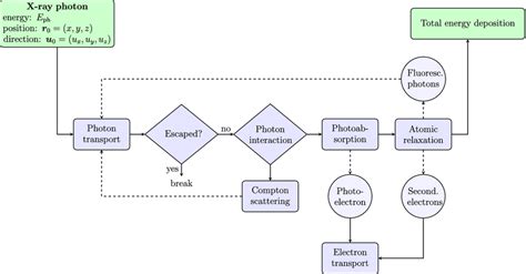 flowchart of the radiative transfer model starting from a photon with