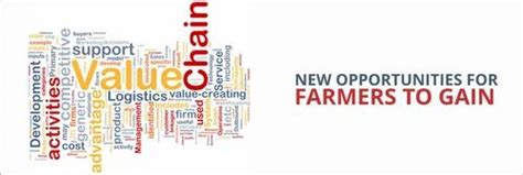 Value Addition At Best Price In Indore Id 8345750388