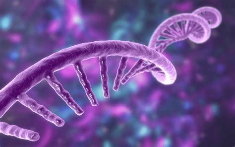 Analyzing Rna Seq Data With Deseq2 Part 2