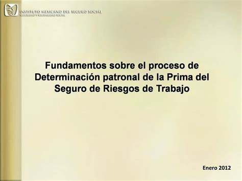 PPT - Fundamentos sobre el proceso de Determinaci n patronal de la ...