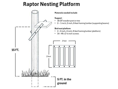 Managing Gopher Booms On Prairies New Strategies