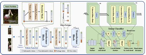 vision transformer vit accelerators mps lab