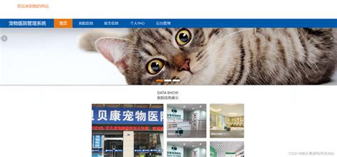 基于ssmvue的宠物医院系统前后端分离 Csdn博客