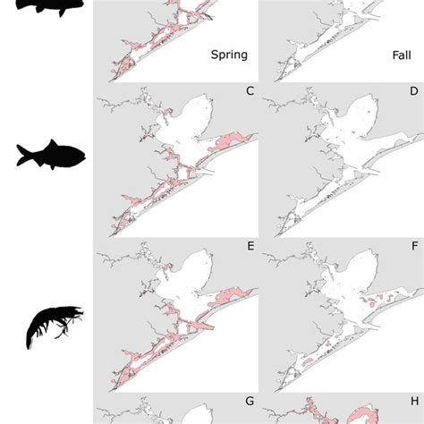 Spatial Overlap In Highly Suitable Habitat Areas In Pink Between