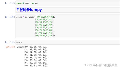 科学计算库——numpy基本操作numpy常用于数组操作和科学计算吗 Csdn博客