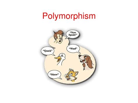 Polymorphism In Go In Go Polymorphism Is Achieved Through… By David