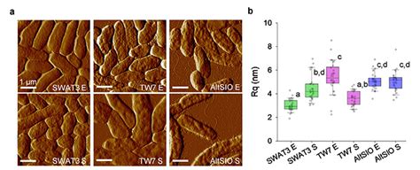 Press Releases Jamstec