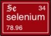Testing Ajax Applications With Selenium InfoQ