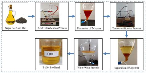 Transesterification Of Peanut Oil Biodiesel At Carmella Vanzant Blog