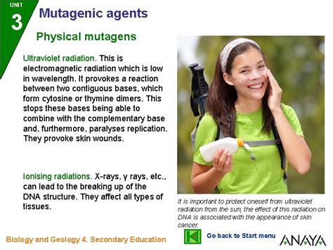 Unit 3 The Transmission Of Traits Mutagenic Agents