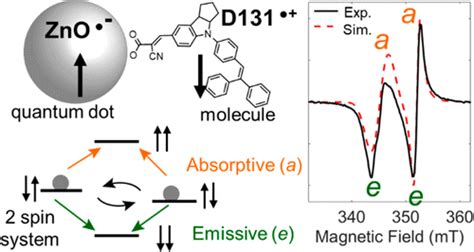 Quantum Dotorganic Molecule Conjugates As Hosts For Photogenerated Spin Qubit Pairs Journal